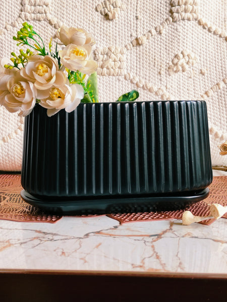 Black Stripe Design pot(Black with Tray) – Niyara